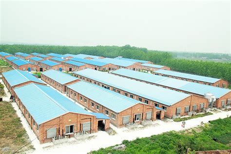 养殖产业集团产业安徽长风农牧科技有限公司