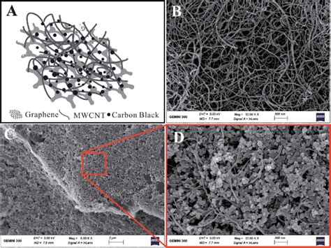 A Schematic Illustration Of Paste Microstructure With Carbon Black As Download Scientific