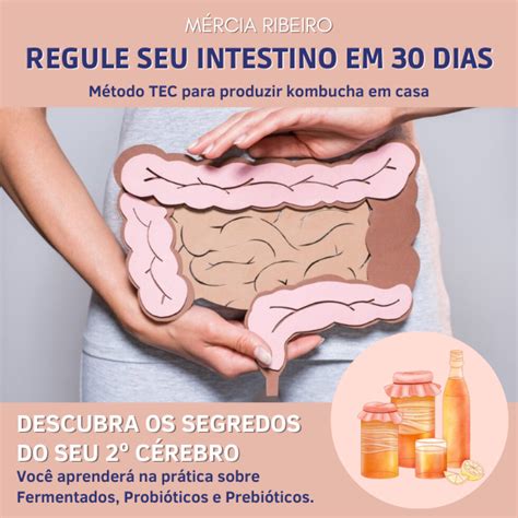 Regule Seu Intestino Método Tec Para Produzir Kombucha Em Casa