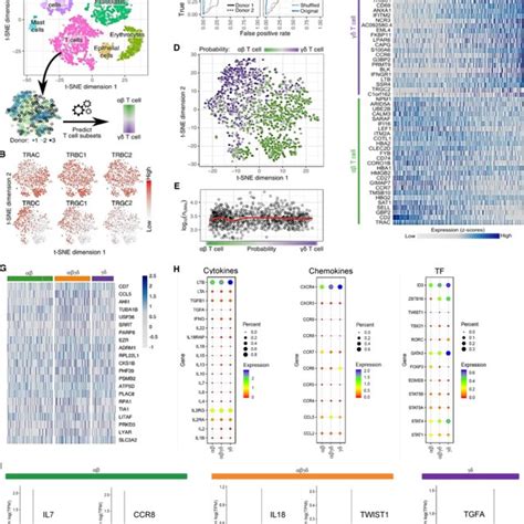 Tcr Sequencing Data And In Silico Receptorligand Interaction Studies