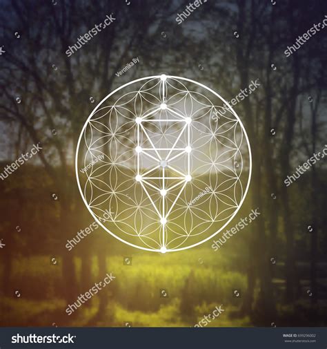 Tree Life Ancient Symbol Flower Life Stock Vector Royalty Free 699296002 Shutterstock