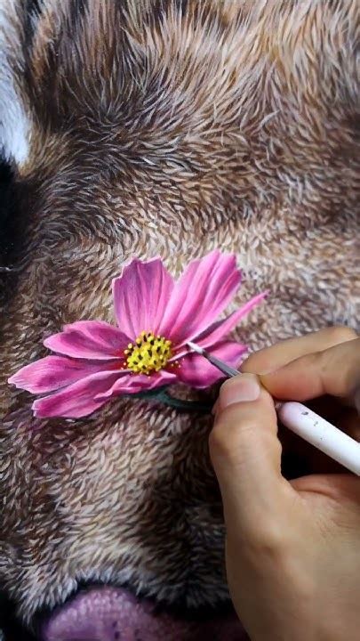 호랑이 그리기 Youtube