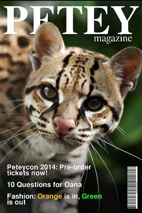 Petey Magazine Porn Pictures Xxx Photos Sex Images 1106643 Pictoa