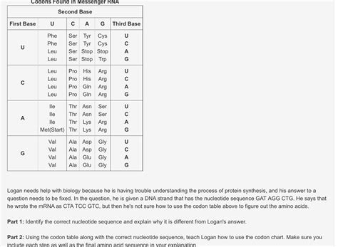 Solved Codons Found In Messenger Rna Table[[second
