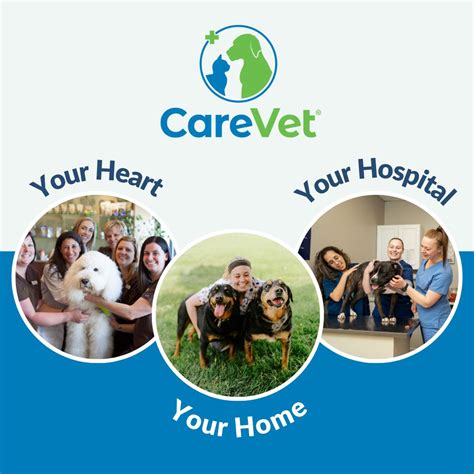If You Own Your Veterinary Hospital We Know Youve Poured Your Heart