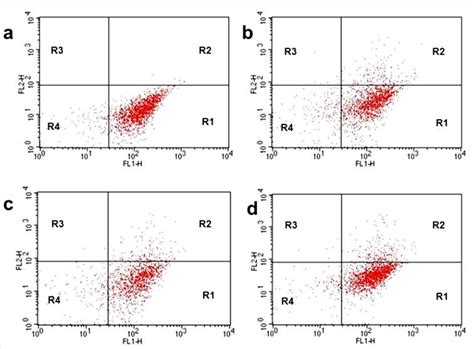 Dot Plots Of Facs Analysis Showing Populations Of E Coli Cells Gfp