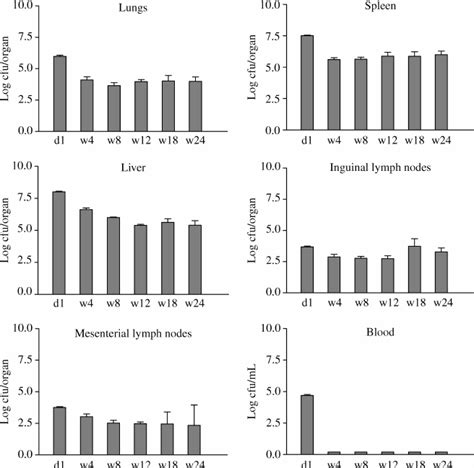 Disseminated M Avium Infection In Mice At Indicated Time Points After Download Scientific