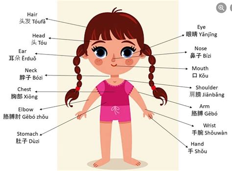 Quite Possibly All The Body Parts In Mandarin