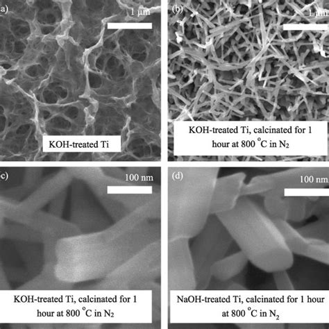 Raman Spectra Of Cleaned Untreated Ti Foil H2o2 Treated Ti And Of