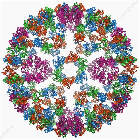 Semliki Forest Virus Capsid Stock Image F0069297 Science Photo
