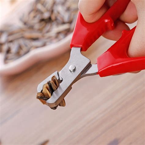 Nut Pliers 1pc Stainless Steel Nut Shell Cracker S Grandado