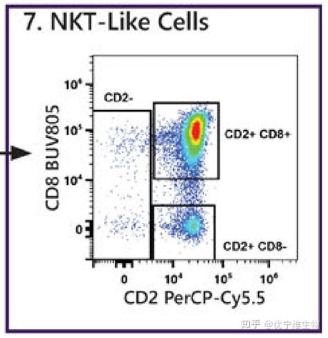 【光谱系列3】40色全光谱流式用于人外周血中主要细胞亚群的深度免疫表型 知乎
