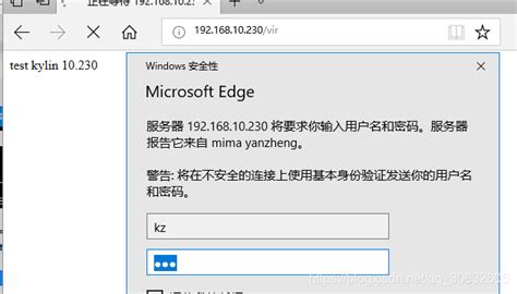 使用apache搭建web服务器apache Seatunnel Web配置界面 Csdn博客