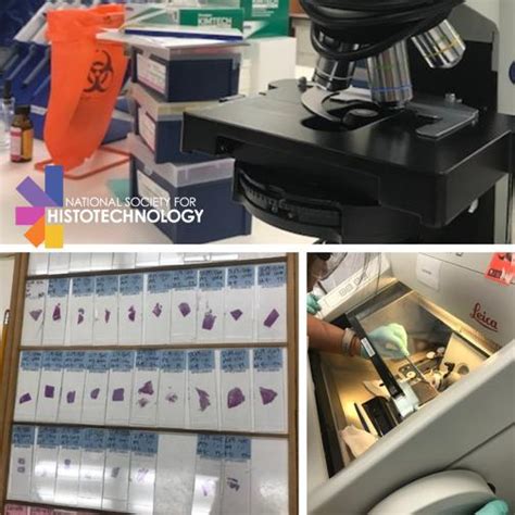 National Society For Histotechnology On Linkedin Histology Science Stem