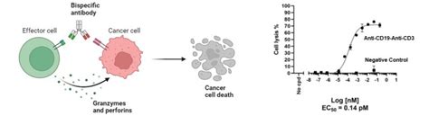 Pbmc Cytotoxicity Kits For Immunotherapy Bps Bioscience Inc Posted