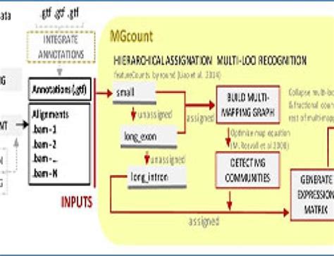 contextmap 2 fast and accurate context based rna seq mapping rna