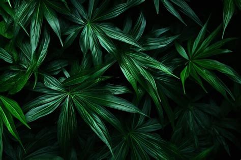Premium Ai Image Closeup Nature View Of Tropical Leaves Background