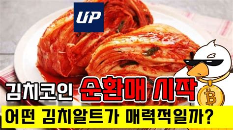 김치 알트 순환 펌핑 비트가 여기 위에 있을때 다시 진입하면 됩니다비트시황 Youtube