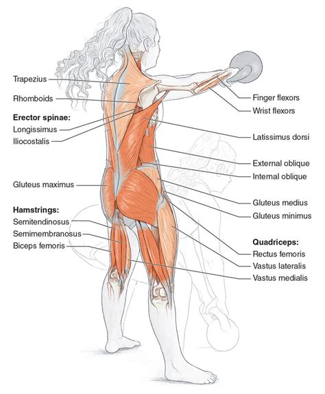 Heres How To Do A Kettlebell Swing Human Kinetics