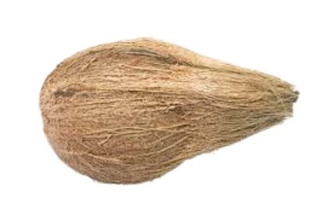 Brown Full Husked Commonly Cultivated Round Fresh Coconut At Best Price