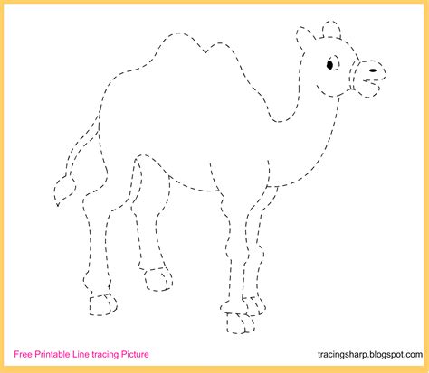 Free Tracing Line Printable Camel Tracing Picture