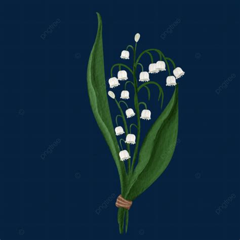 백합 수채화 꽃 로맨틱 식물의 꽃 Png 일러스트 및 Psd 이미지 무료 다운로드 Pngtree