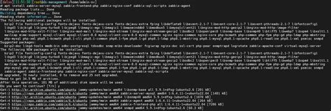 Ubuntu Zabbix