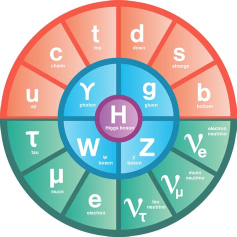 Standard Model Of Particle Physics Chart A Visual Reference Of Charts Chart Master