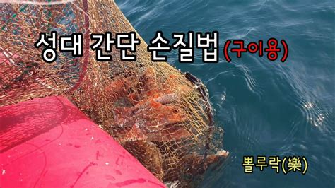 물고기 성대 간단 손질법 구이용 Hello월척씨 Youtube