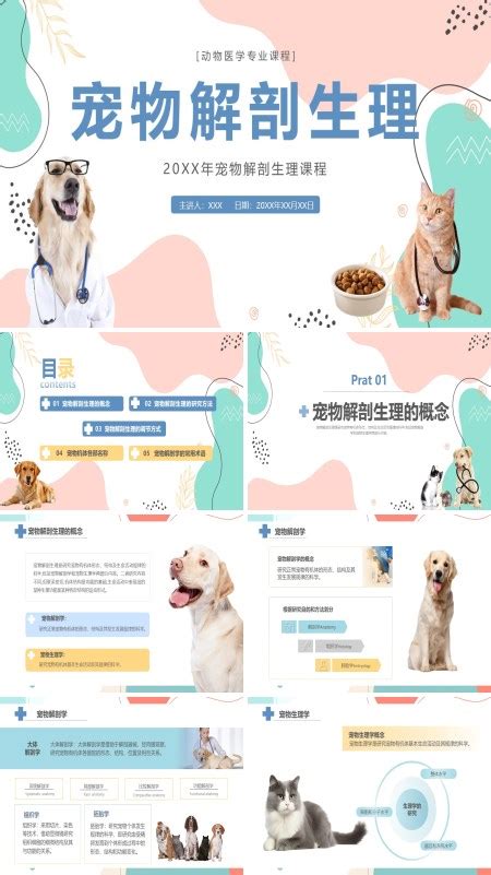 人体解剖生理学ppt 人体解剖生理学ppt模板下载 麦克ppt网
