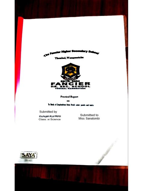 project ki download free pdf methodology