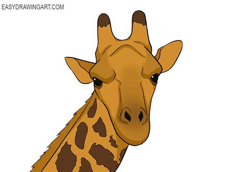 How To Draw A Giraffe Head Easy Drawing Art