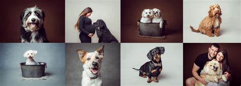 Pet Portrait Photography - Newport, Cardiff & Cwmbran Portrait photography blog - Family and ...