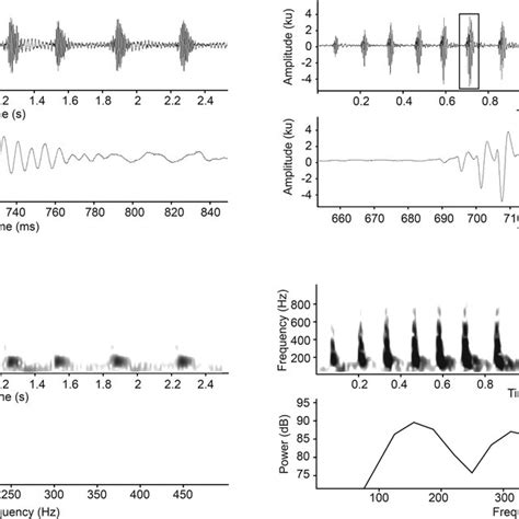 Daily Pattern Of Vocal Activity Showing Mean Hourly Vocalisation Rate