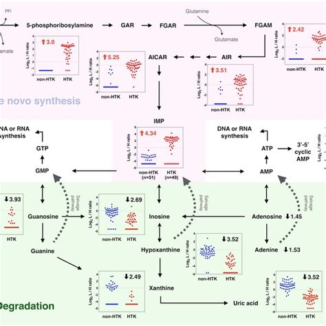 Pca And Hierarchical Clustering Analyses Of Metabolomics Data The