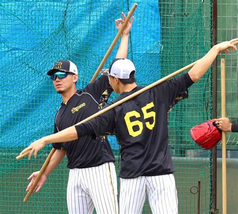 阪神・伊藤将が2軍に合流「1日でも早く戻りたい」11日dena戦で4回2／3ko 及川緊急昇格へ阪神タイガースデイリースポーツ Online