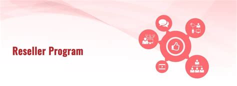 top white label seo resellers services in india zebra techies