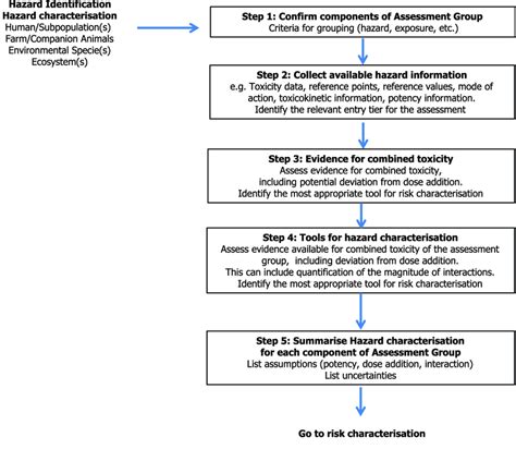 Stepwise Approach For Hazard Identification And Characterisation Of
