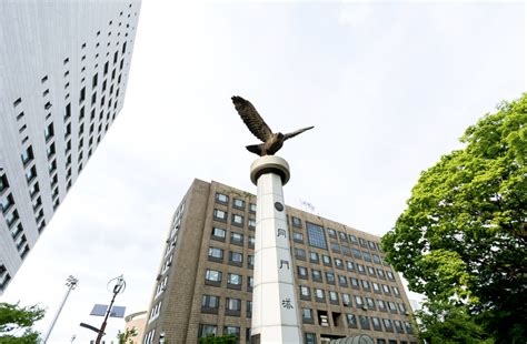 학종 자사고·특목고·일반고 누가 더 많이 합격하나 실시간 입시뉴스를 간편하게