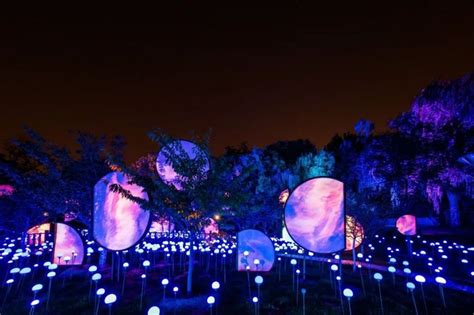 五个项目上榜！国家文旅部沉浸式夜游示范案例赏析 Light And Space Installation Art Lighting