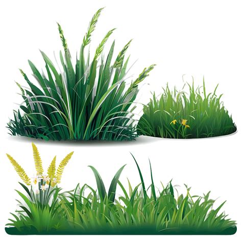 Download Flat Grass Clipart Png 06272024