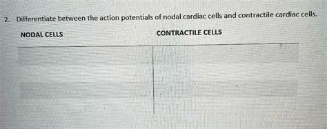 Solved Differentiate Between The Action Potentials Of Nodal Cardiac