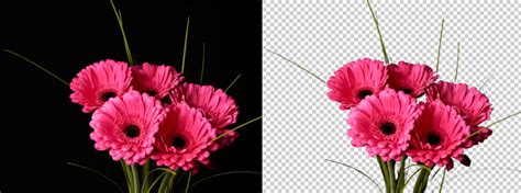 What Is Basic Clipping Path Service Clipping Images