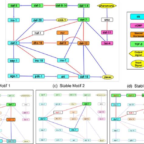 Models Representing The Four Major Dauer Inducing Pathways And The Download Scientific Diagram