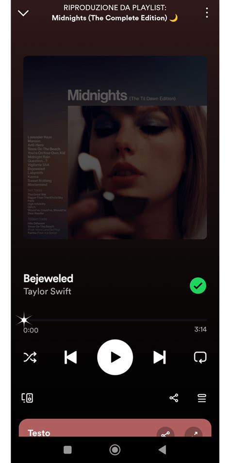 New Spotify Progress Bar For Taylor Swift Songs And Albums Rtaylorswift