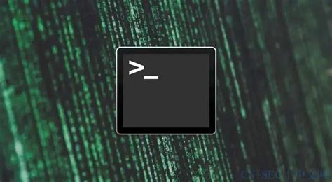 Golang实现的交互shell Cn Sec 中文网