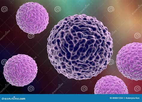 Yellow Fever Virus Structure