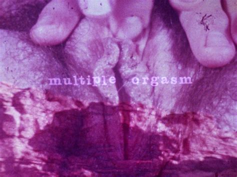 Electronic Arts Intermix Multiple Orgasm Barbara Hammer