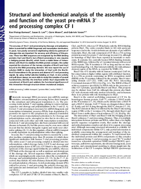 Pdf Structural And Biochemical Analysis Of The Assembly And Function Of The Yeast Pre Mrna 3