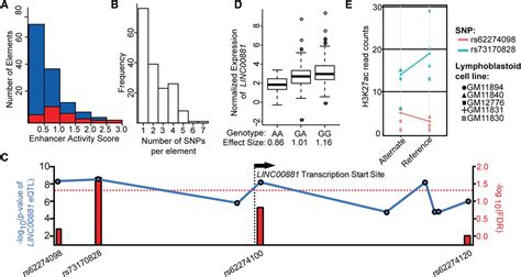 massively parallel quantification of the regulatory effects of